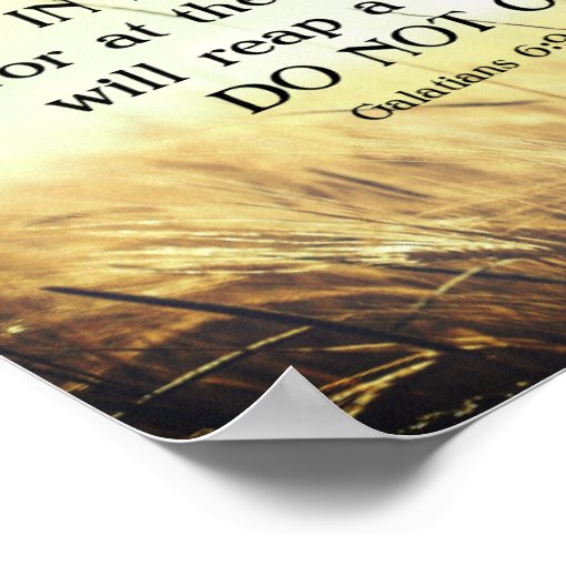 Galatians 6:9 Do not become weary in doing good Poster | Zazzle
