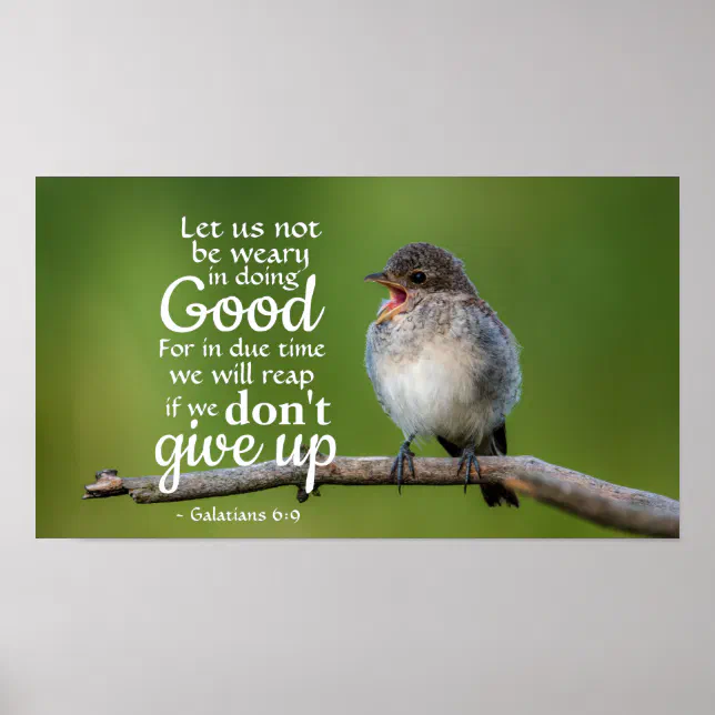 Galatians 6:9 Let us not be weary in doing good Poster | Zazzle