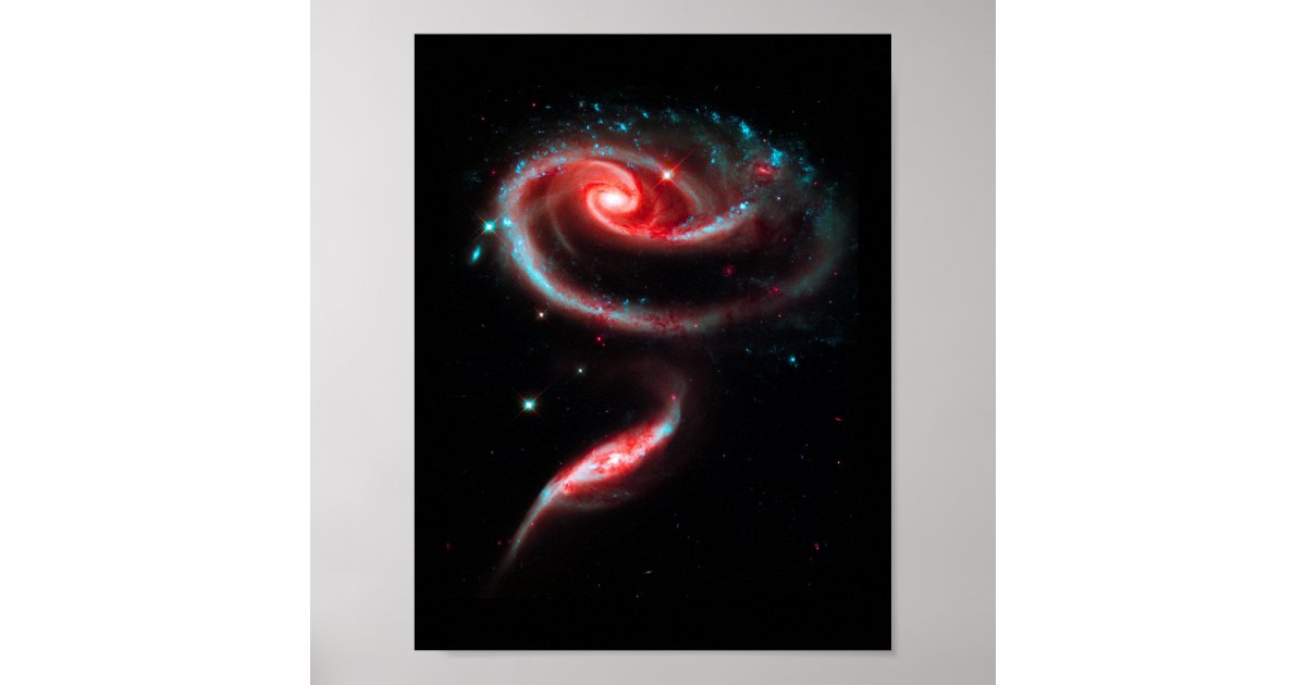 Galaxy Rose Red Poster | Zazzle