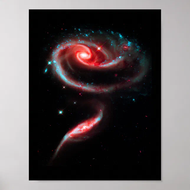 Galaxy Rose Red Poster | Zazzle