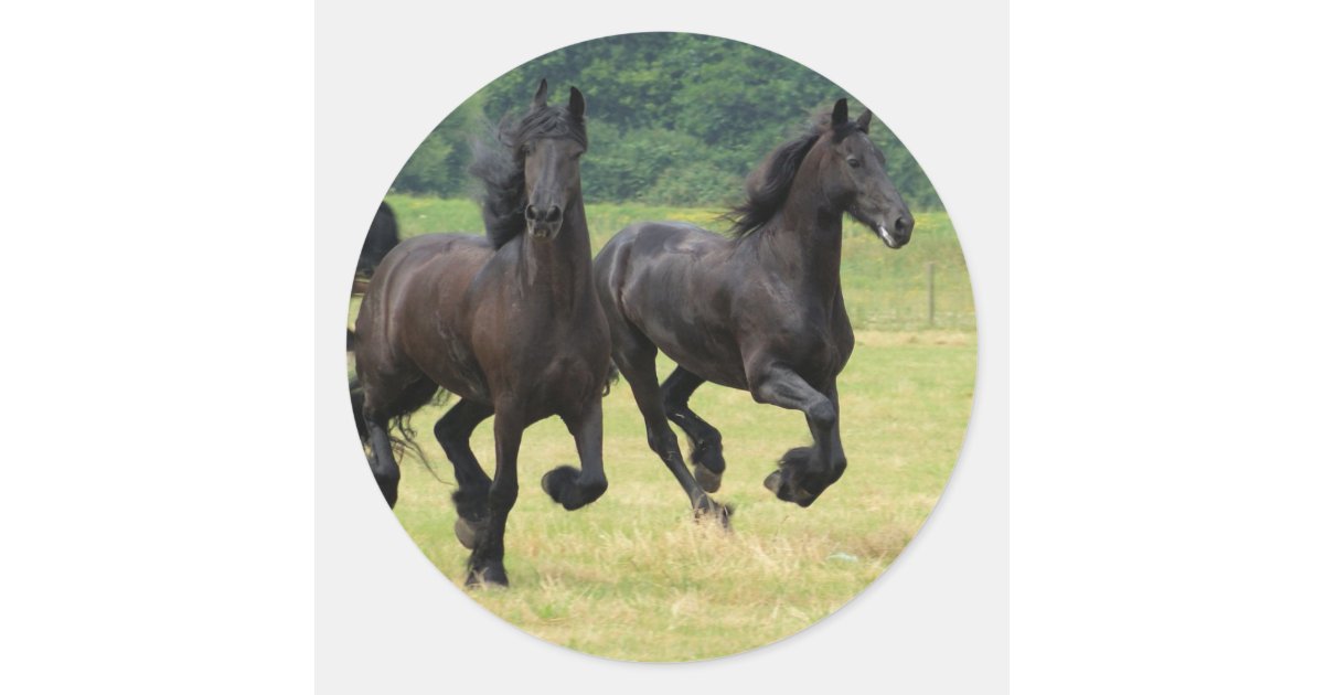 Galloping Friesian Horses Stickers | Zazzle