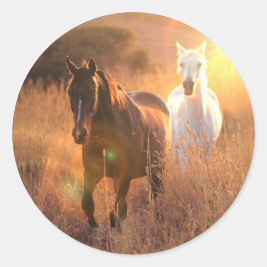 Galloping Wild Horses Stickers | Zazzle.com