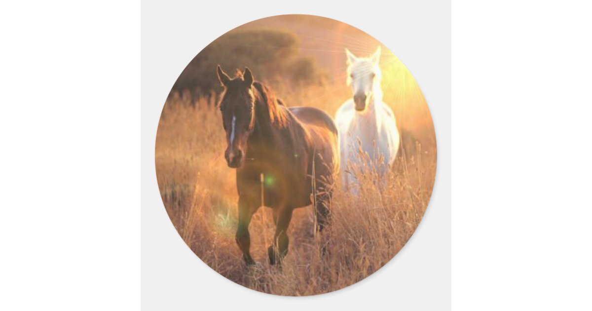 Galloping Wild Horses Stickers | Zazzle