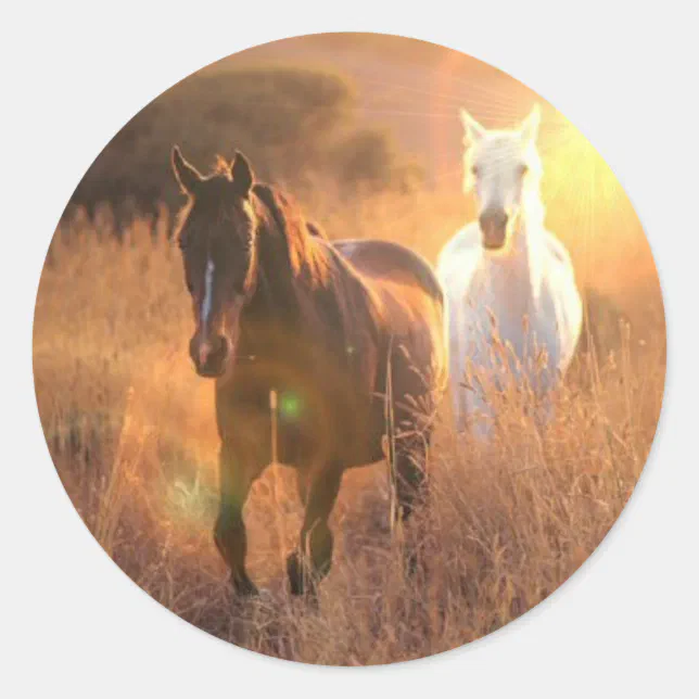 Galloping Wild Horses Stickers | Zazzle