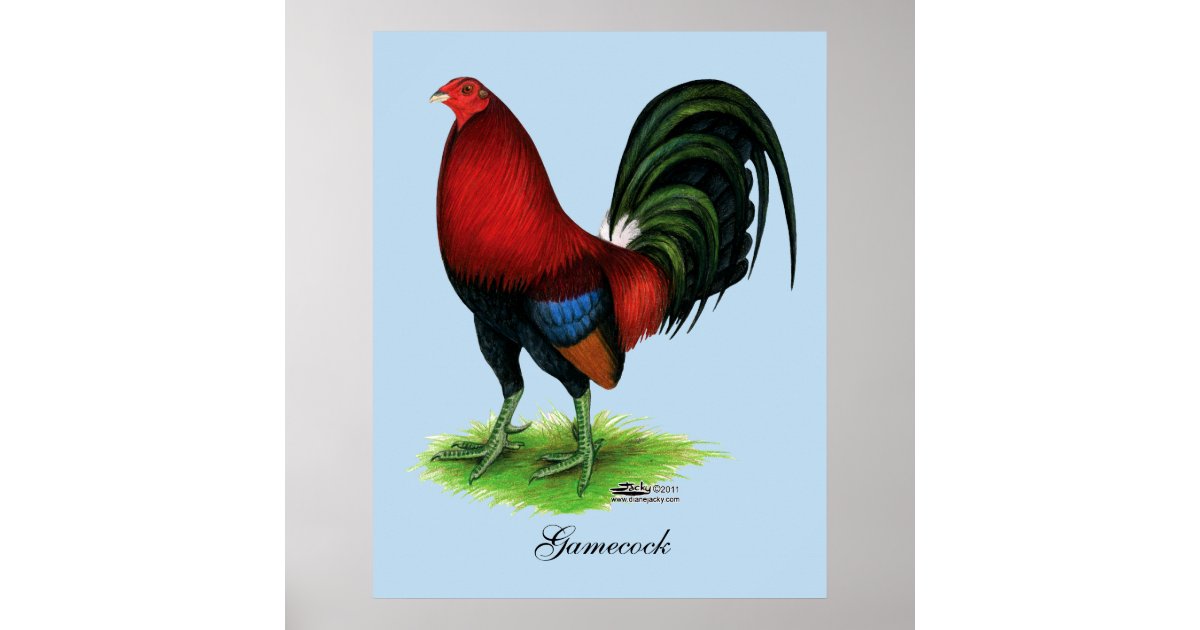 Gamecock: Dark Red Poster | Zazzle