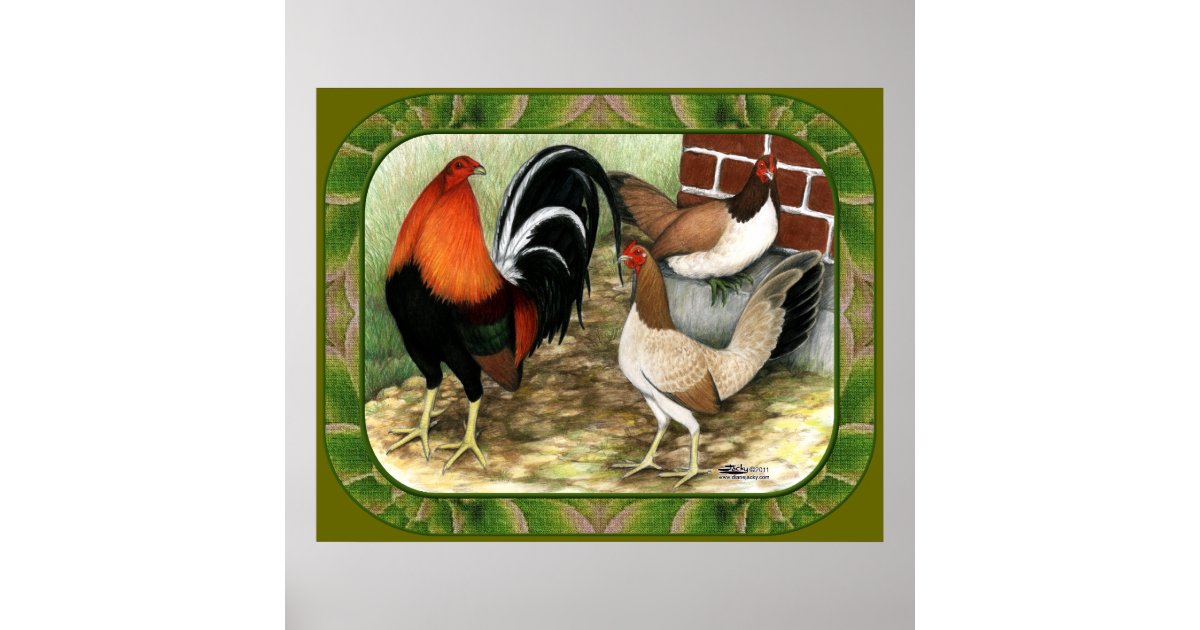 Gamefowl On the Farm Poster | Zazzle