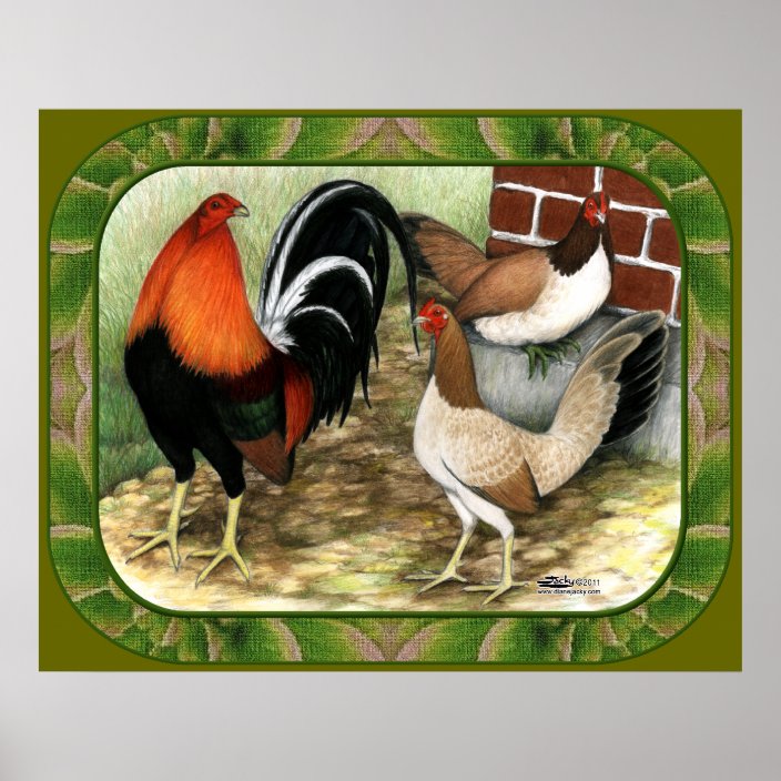 Gamefowl On the Farm Poster | Zazzle.com