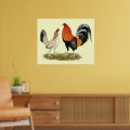 Gamefowl Wheatens Poster | Zazzle