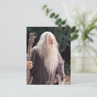 GANDALF™ Standing Postcard | Zazzle