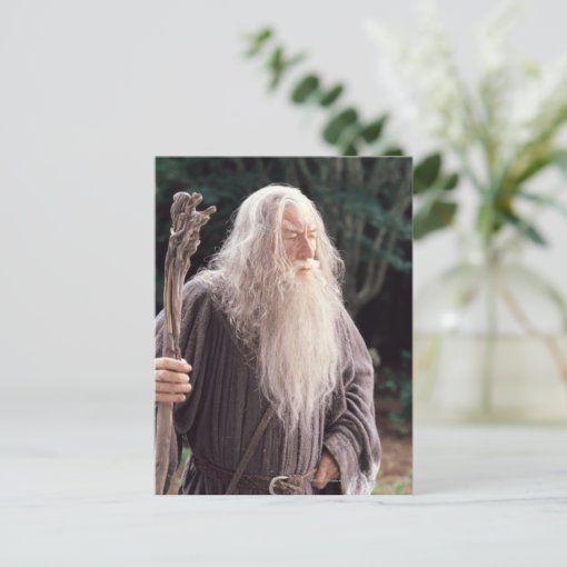 GANDALF™ Standing Postcard | Zazzle