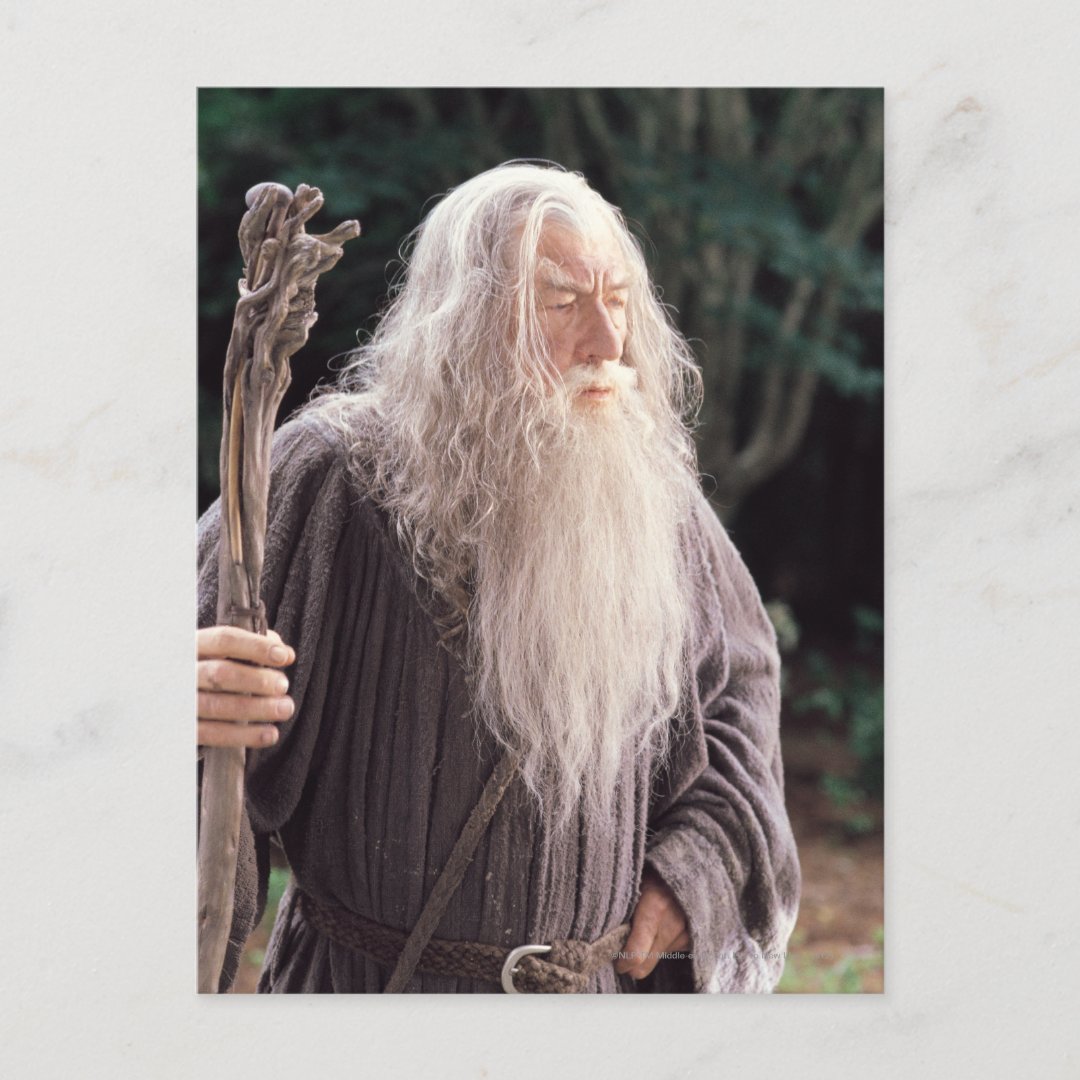 GANDALF™ Standing Postcard | Zazzle