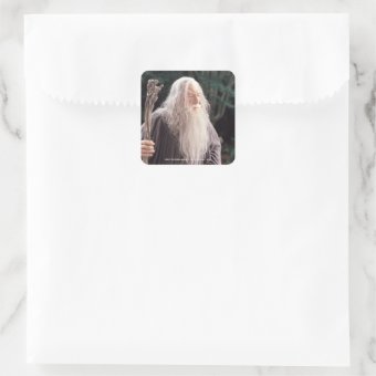 GANDALF™ Standing Square Sticker | Zazzle