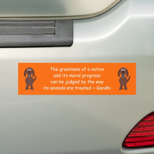 Gandhi Animal Rights Quote Cartoon Dog Orange Bumper Sticker | Zazzle