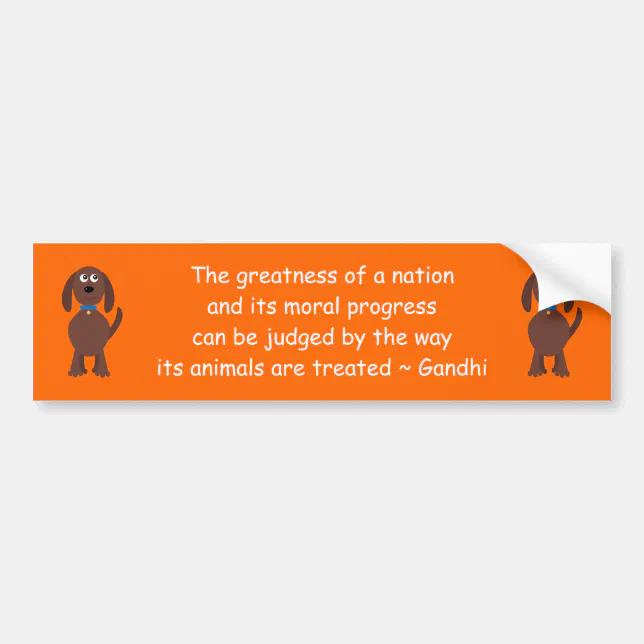 Gandhi Animal Rights Quote Cartoon Dog Orange Bumper Sticker | Zazzle