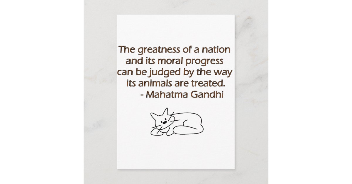 Gandhi Animals Quote with Cat Postcard | Zazzle