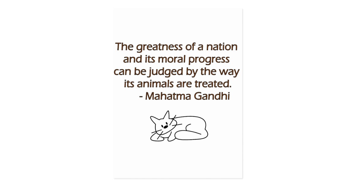 Gandhi Animals Quote with Cat Postcard | Zazzle.com