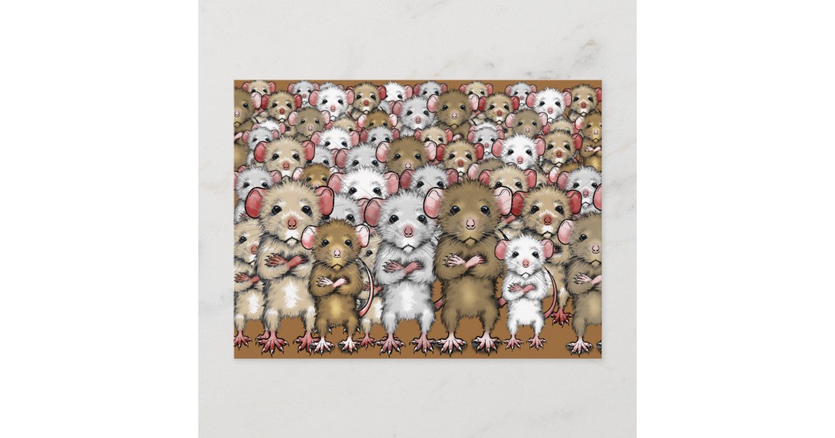 Gang Bunch of Rats Postcard | Zazzle