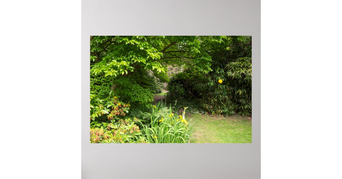 Garden Background Poster | Zazzle