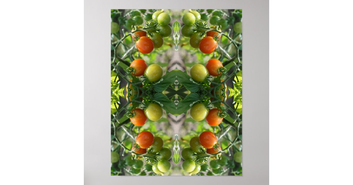 Garden Cherry Tomatoes Abstract Nature Art Poster | Zazzle