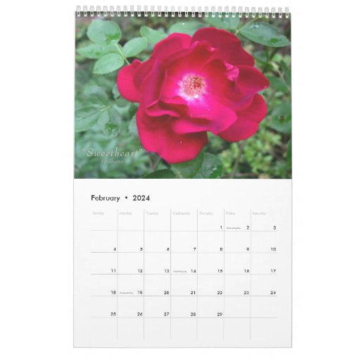 Garden Flower Calendar | Zazzle