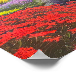 Garden of Colors Poster | Zazzle