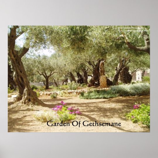 Garden Of Gethsemane Christianity Posters | Zazzle.com