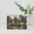 Garden of Gethsemane Jerusalem Postcard | Zazzle