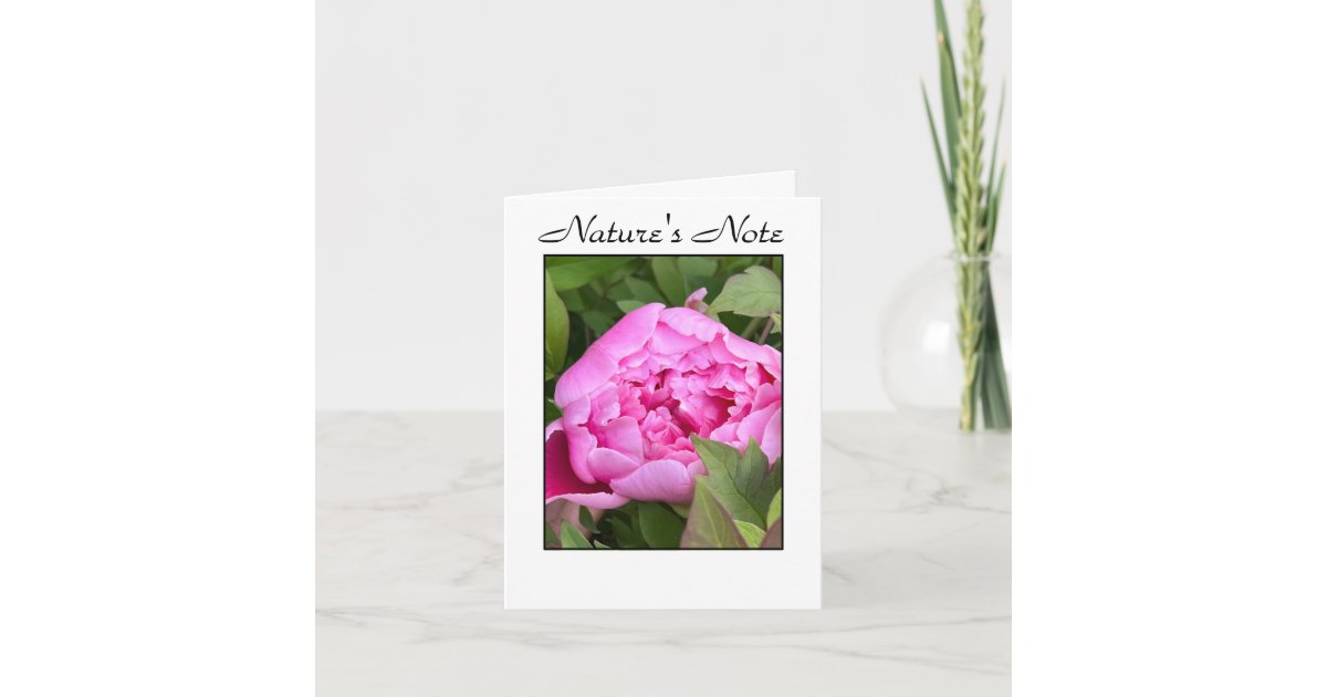 GARDEN PEONY PHOTO FLORAL NOTE CARD | Zazzle