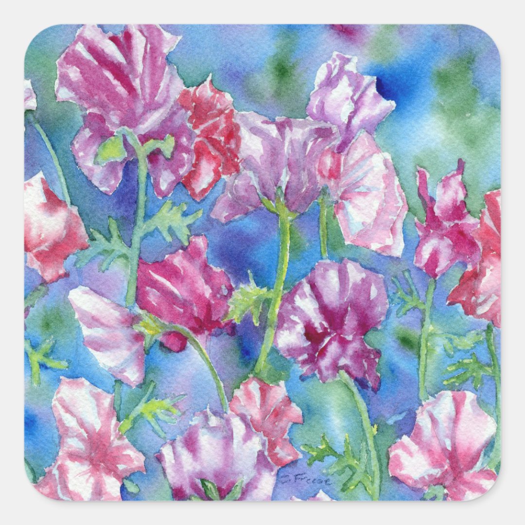 "Garden Sweet Peas" Square Stickers | Zazzle