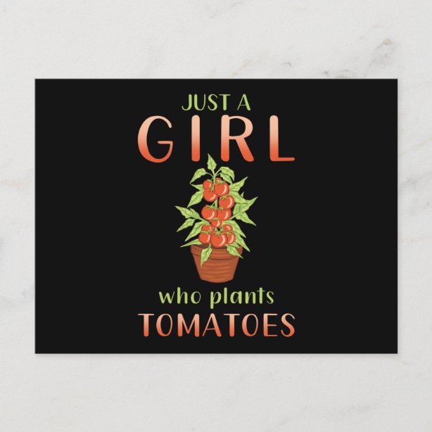 Personalized Tomato Gifts on Zazzle