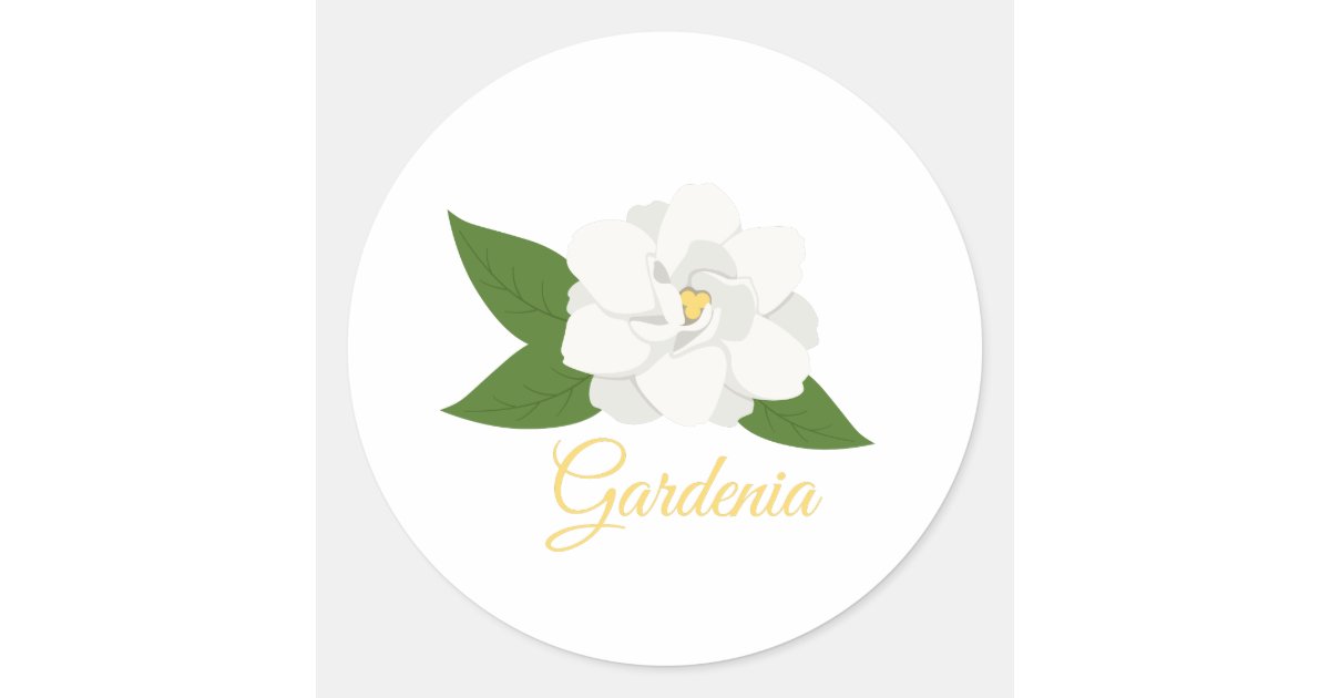 Gardenia Classic Round Sticker | Zazzle