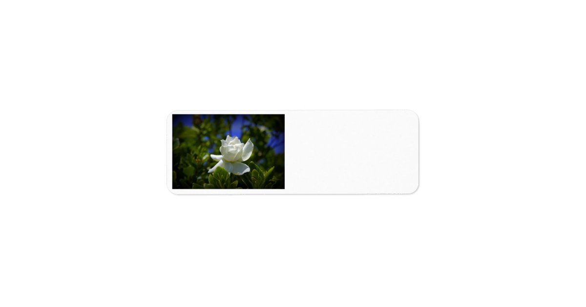Gardenia Label | Zazzle