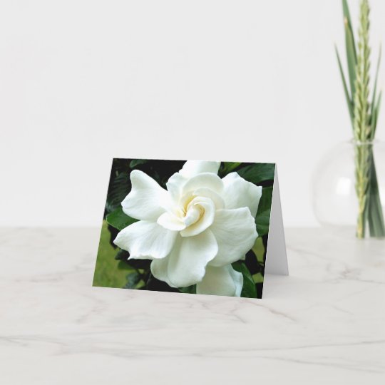 Gardenia Note Card | Zazzle.com