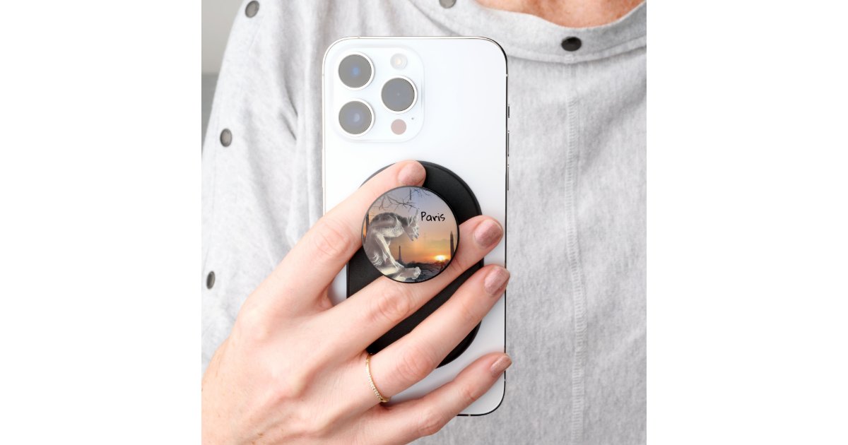 Gargoyle of Notre Dame PopSocket | Zazzle