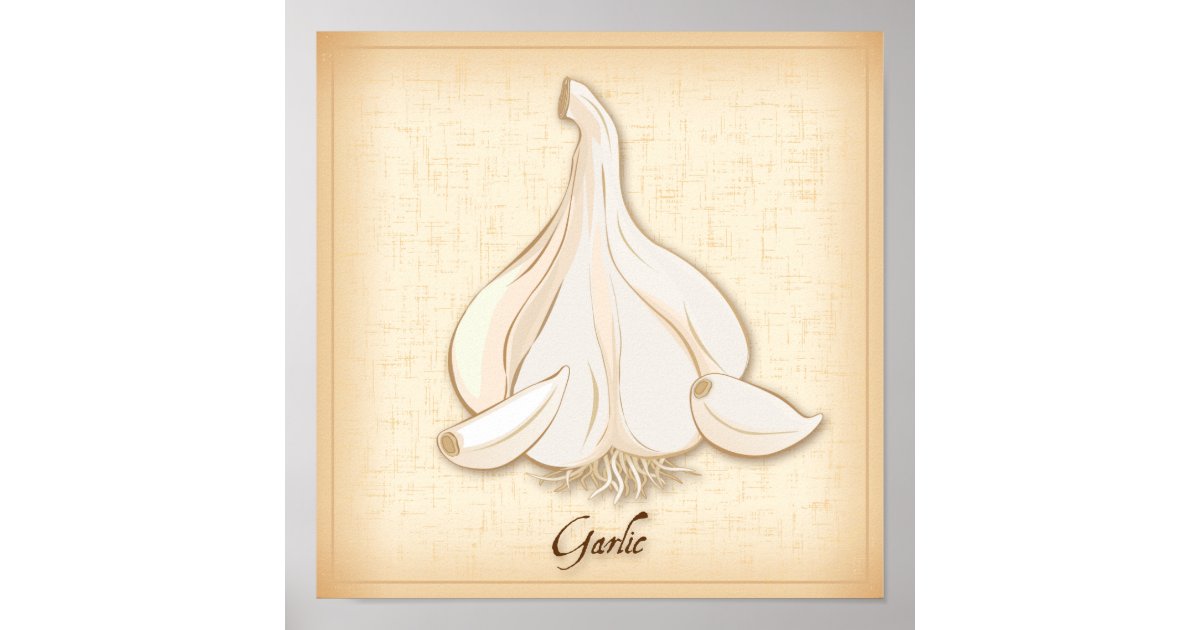Garlic Poster | Zazzle