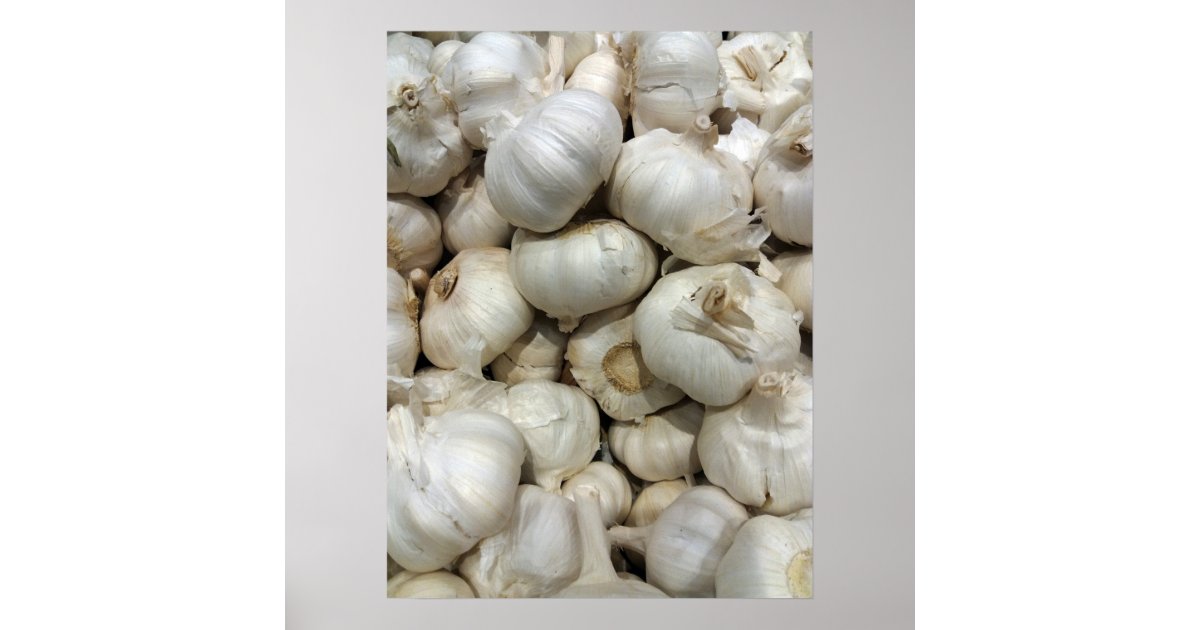 Garlic Poster | Zazzle