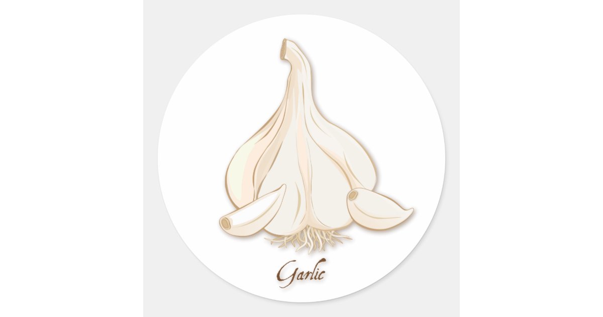 Garlic Round Sticker | Zazzle