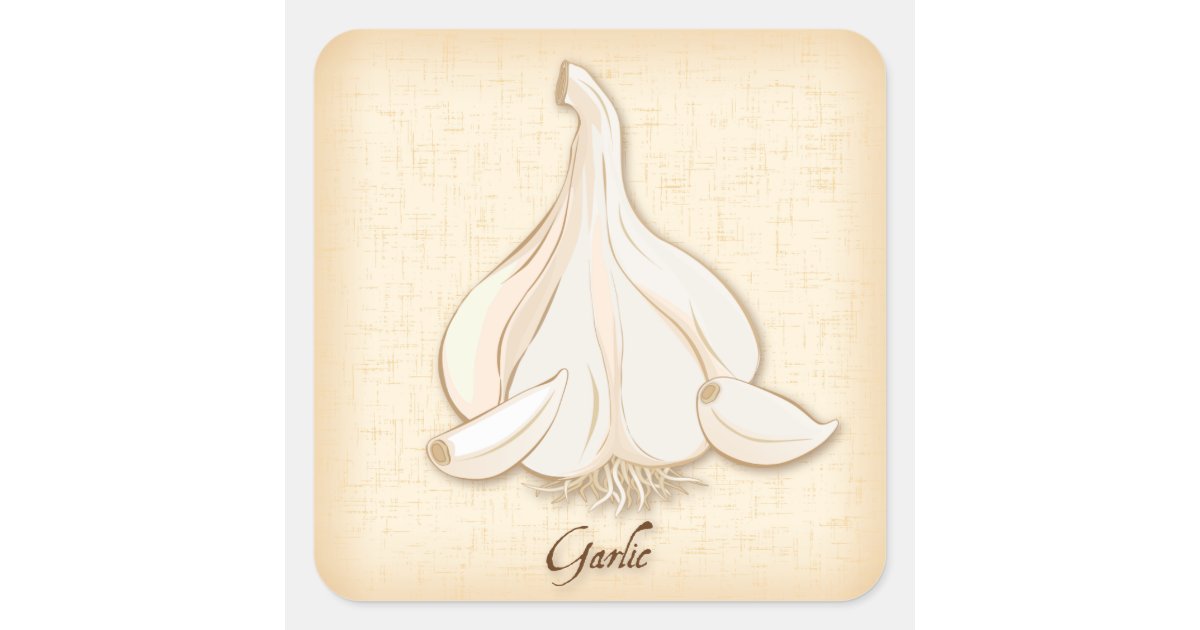 Garlic Square Sticker | Zazzle