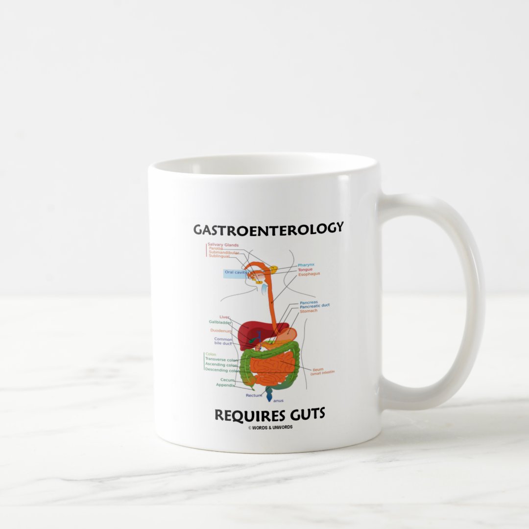 Gastroenterology Requires Guts (Digestive System) Coffee Mug | Zazzle