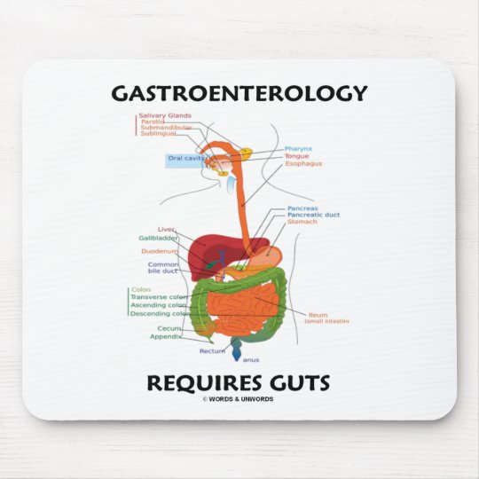 Gastroenterology Requires Guts (Digestive System) Mouse Pad | Zazzle.com