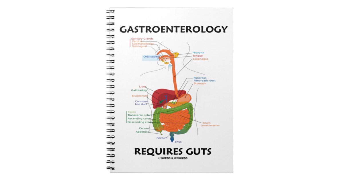 Gastroenterology Requires Guts Digestive System Notebook | Zazzle