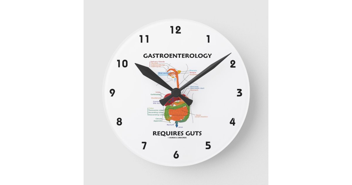 Gastroenterology Requires Guts (Digestive System) Round Clock | Zazzle