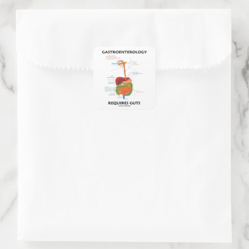 Gastroenterology Requires Guts (Digestive System) Square Sticker | Zazzle