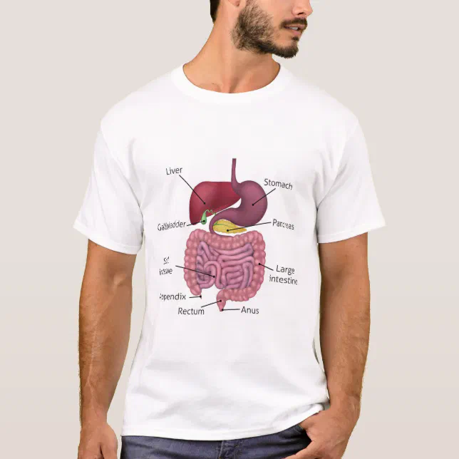 Gastrointestinal Digestive System and Labels T-Shirt | Zazzle