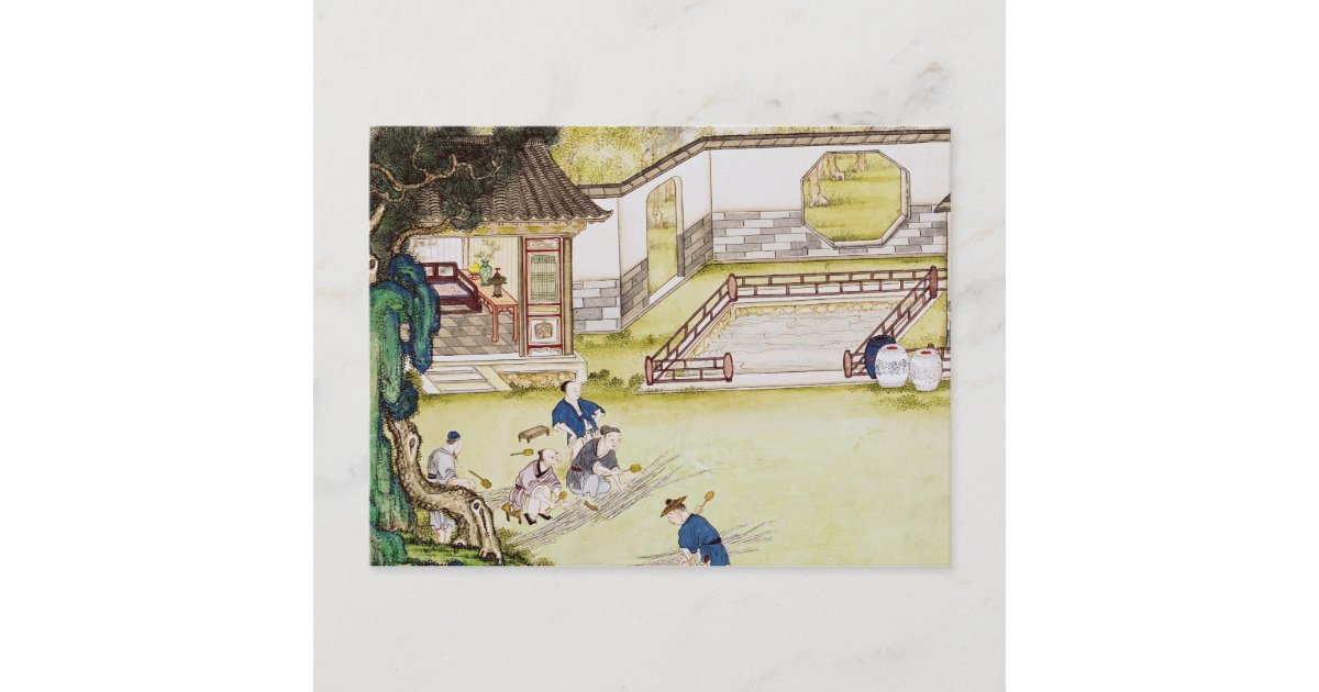 Gathering bamboo to make paper postcard | Zazzle