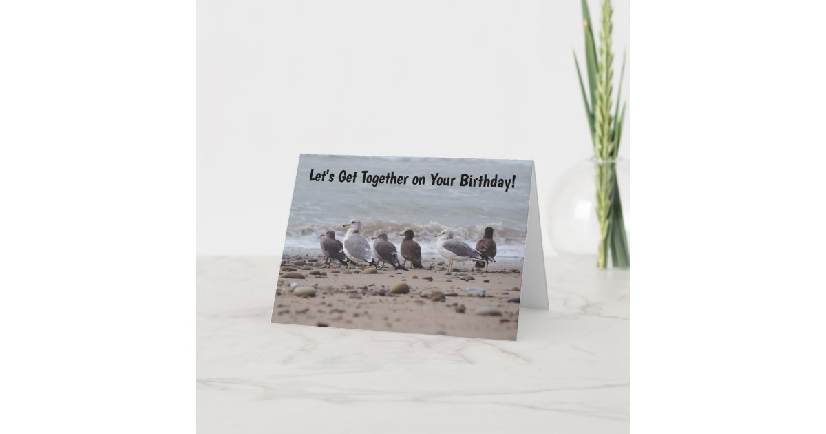 Gathering Sea Gull Birds Get Together Birthday Card | Zazzle