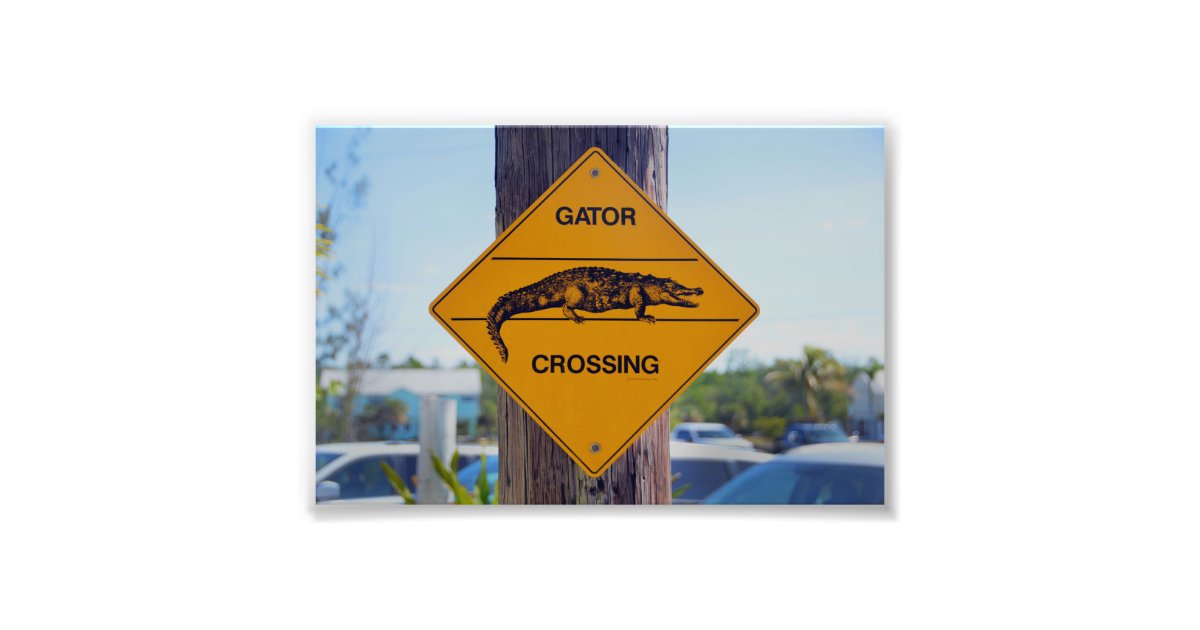 Gator Crossing Sign, Florida Photo Print | Zazzle