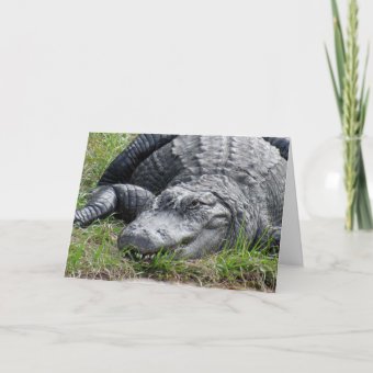 Gator Greeting Card | Zazzle