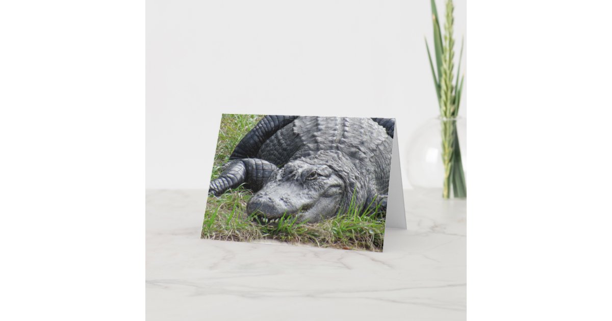 Gator Greeting Card | Zazzle