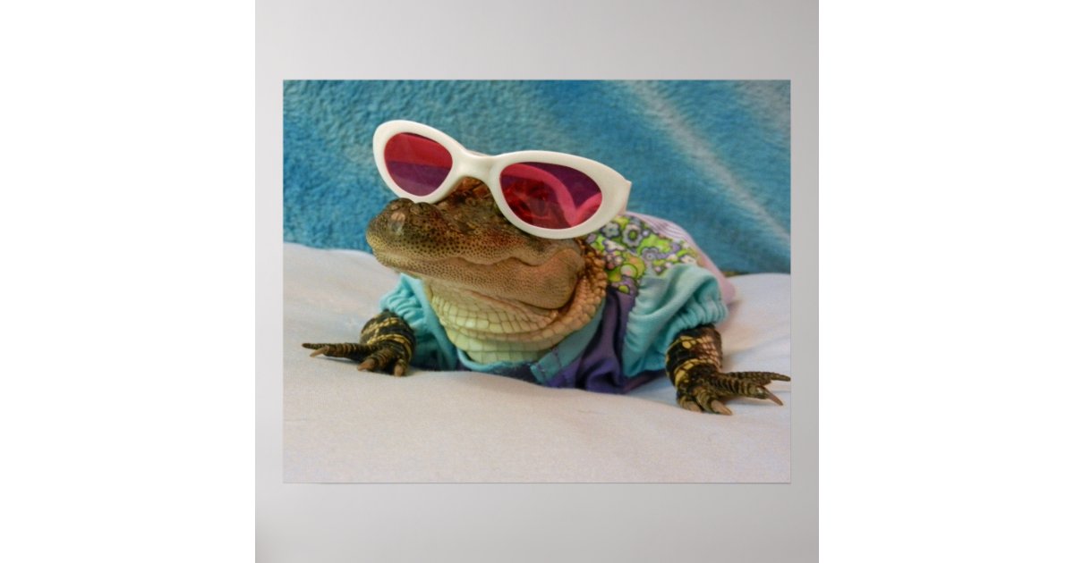 Gator Greetings - Keep Smiling Poster | Zazzle